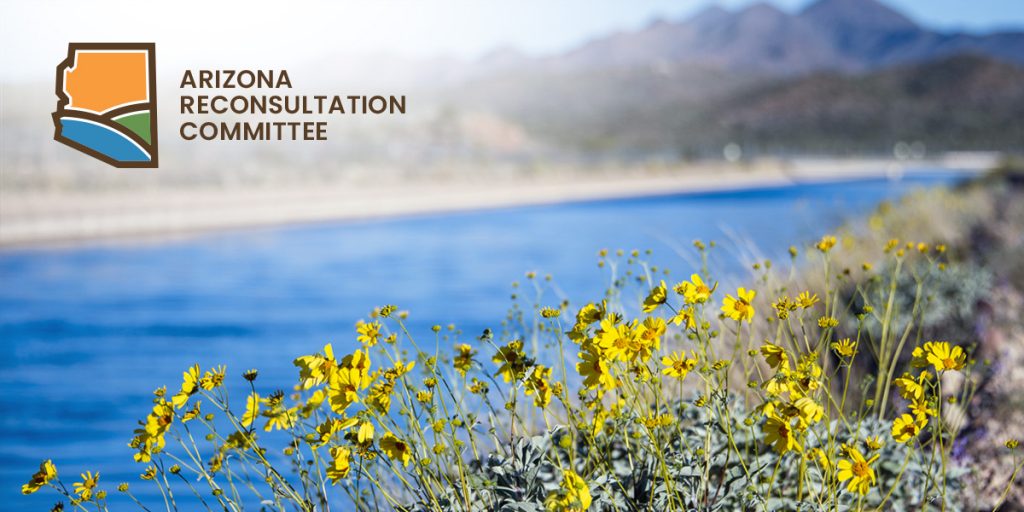 Arizona Reactivates and Renames DCP Committee to Develop Statewide ...