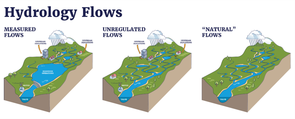 Going with the flow … measured, unregulated and natural - Central ...