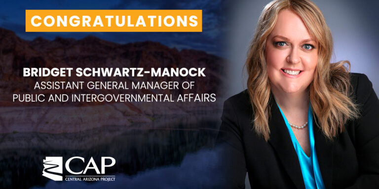 Bridget Schwartz-Manock promoted to Assistant General Manager of Public ...
